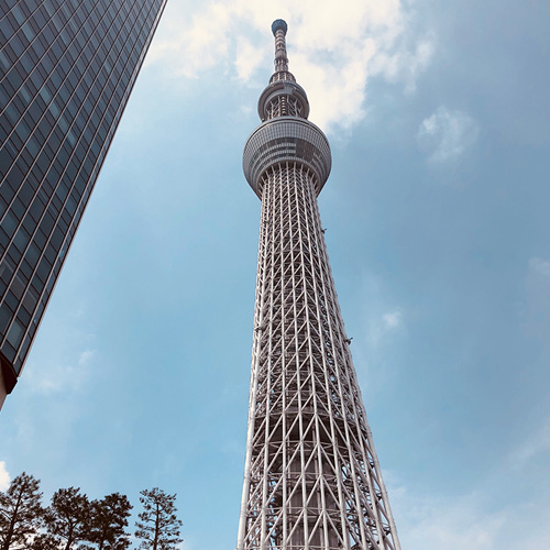 【6/29放映 王様のブランチ】トレンド5でDefiliousのワンショルダー水着が紹介されました【トレンド水着】｜人気水着ブランド通販のPEAK&PINE